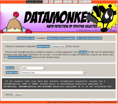 Fordham2011Bioinformatics: Ka/Ks Tutorial for DataMonkey
