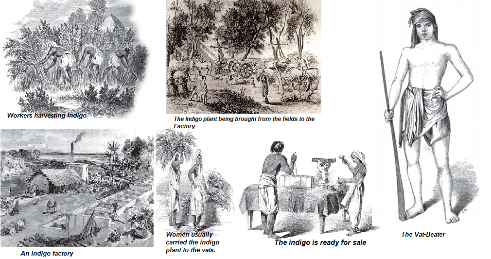 HISTORY(VIII)-LESSON-3 RULING THE COUNTRYSIDE (LESSON NOTES) - SST and ...