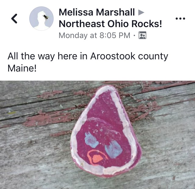 Northeast Ohio Rocks!: Northeast Ohio Rocks! in all 50 States Volume 5