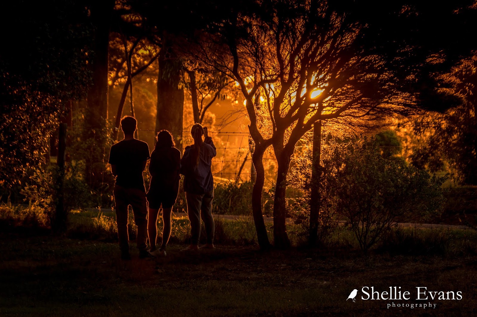 Two Go Tiki Touring: History at Houhora Heads