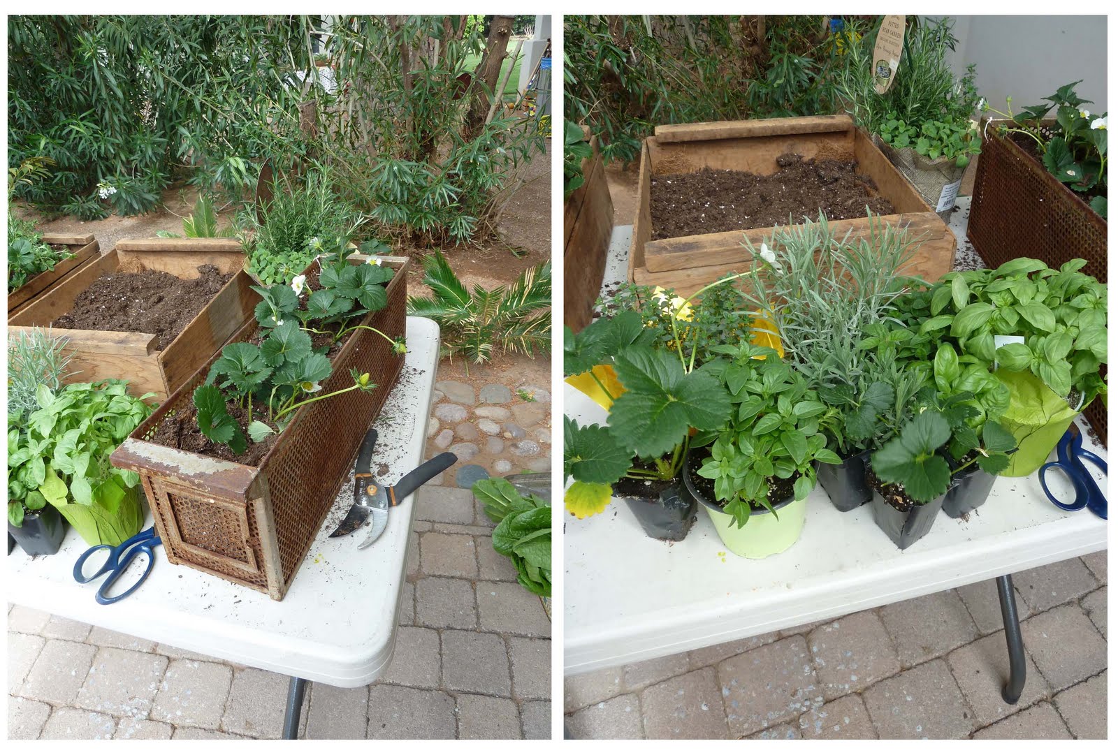 The Willows Home & Garden: garden boxes