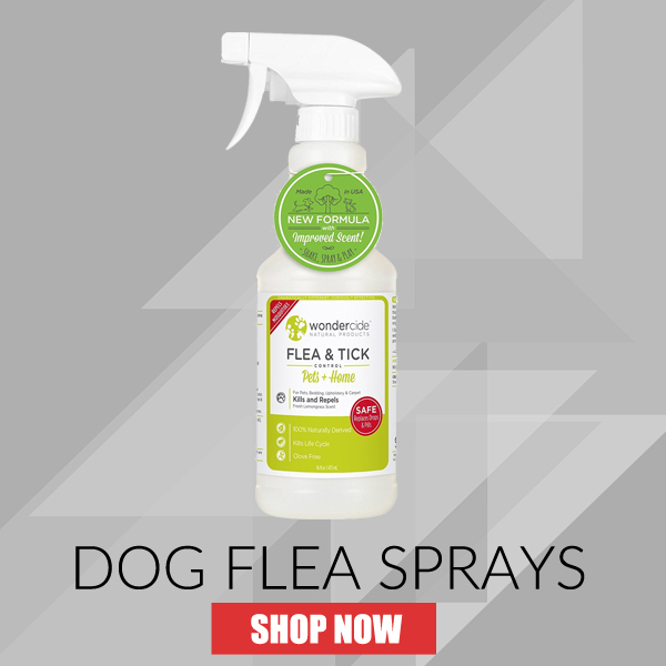 Tick Medicine For Dogs - Shoo Tag For Dogs - 0Bug!Zone