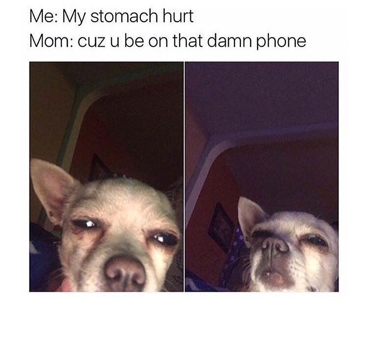 Random Memes Photos That Will Make Your Day (36 Pics) | 9GIG