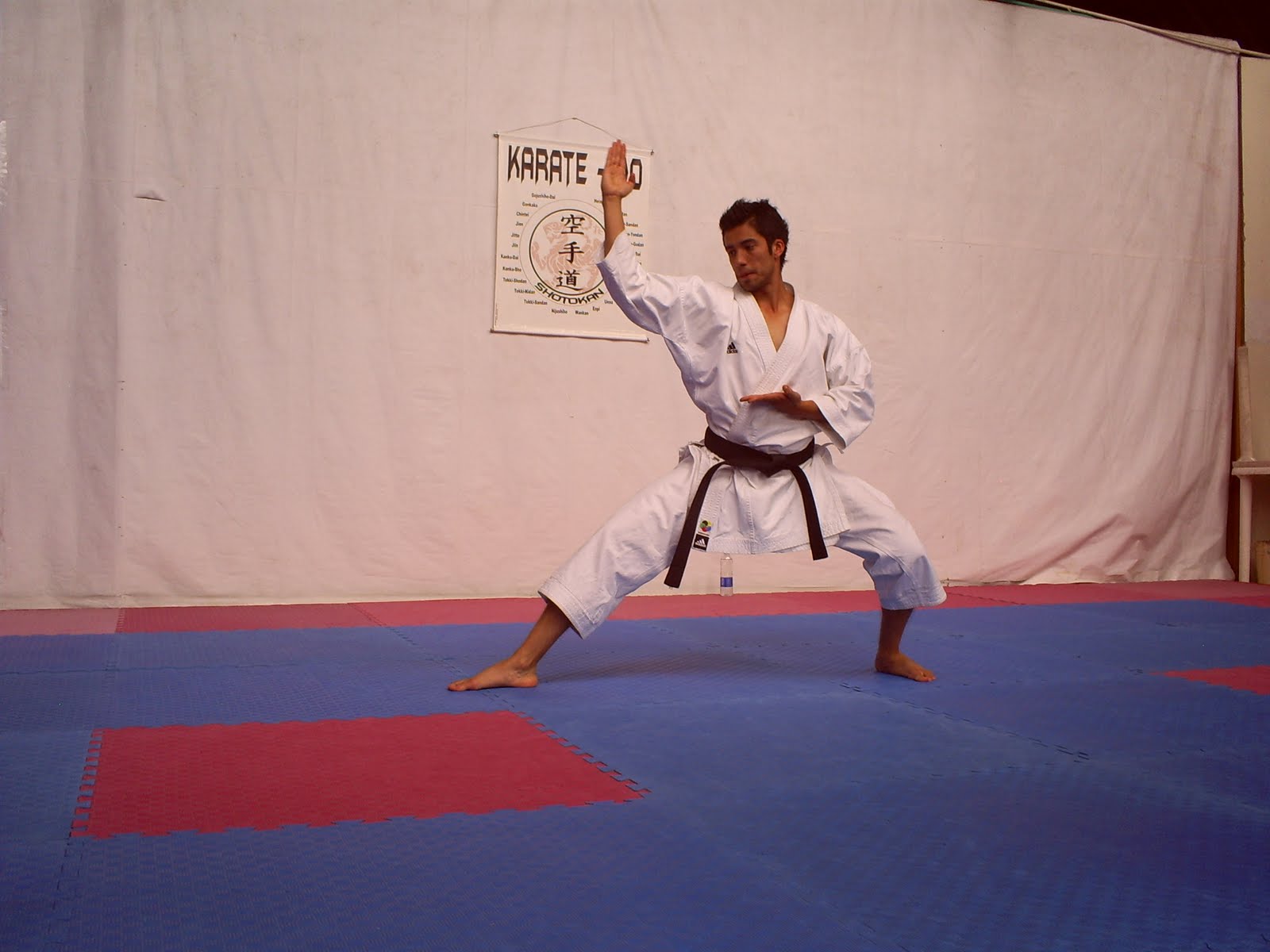 Dojo Seiken Karate-Do Pereira: Entrenamiento de Kata