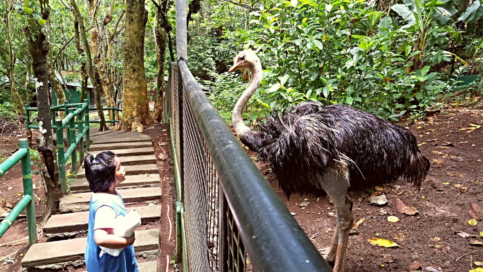 Albay: Albay Park and Wildlife