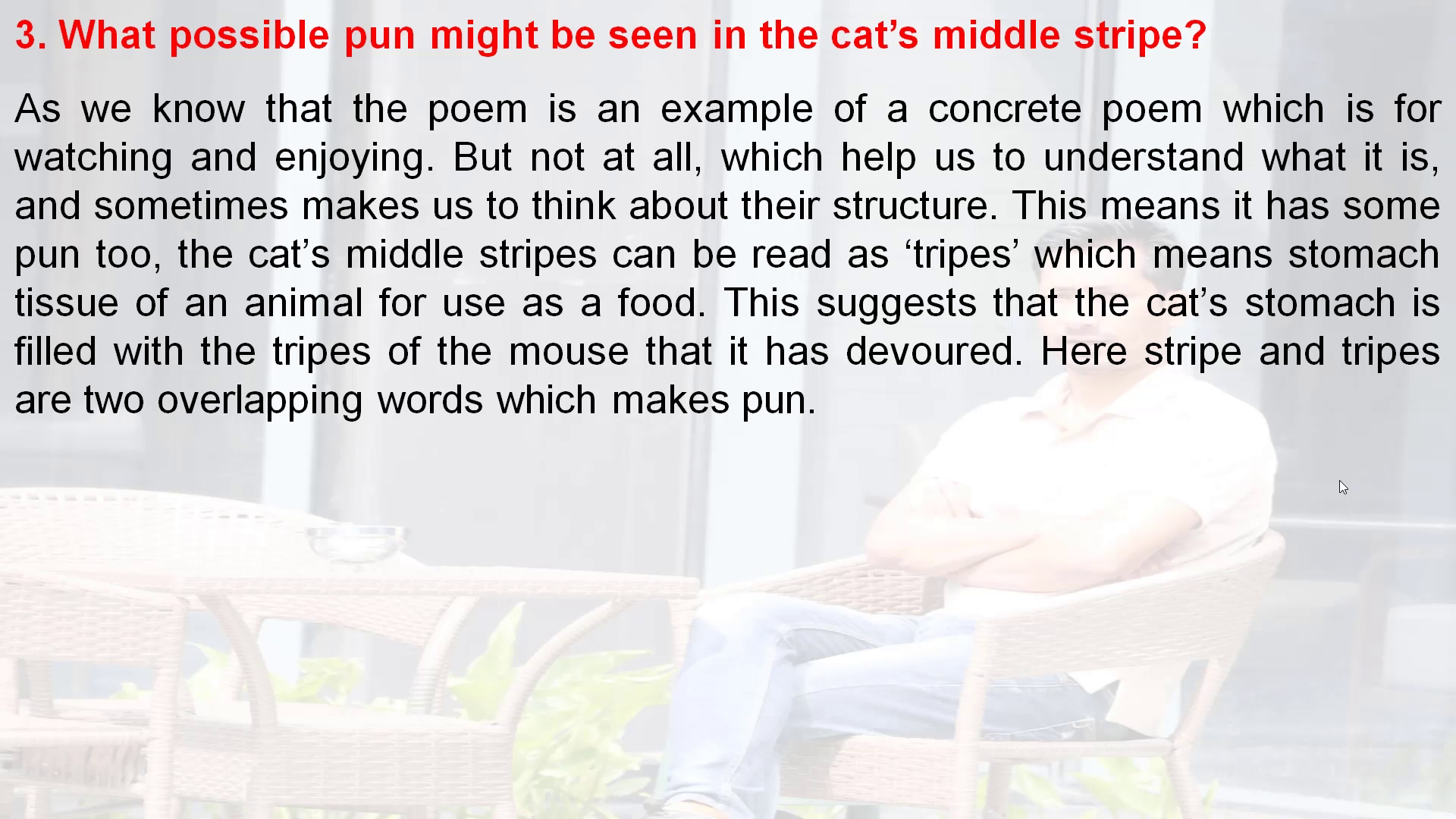 Concrete Cat | Dorthi Charles | Summary | Long Question | Short ...