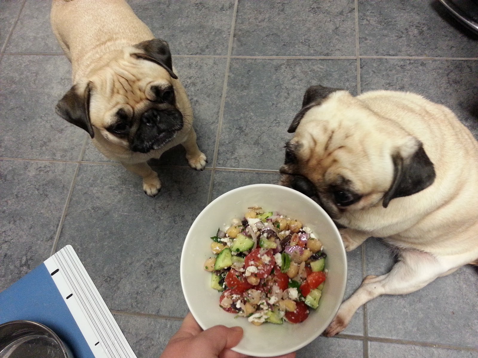 Grubbin' Pugs: Chickpea Salad with Herbs and Vegetables