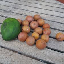 The Road to Western Province