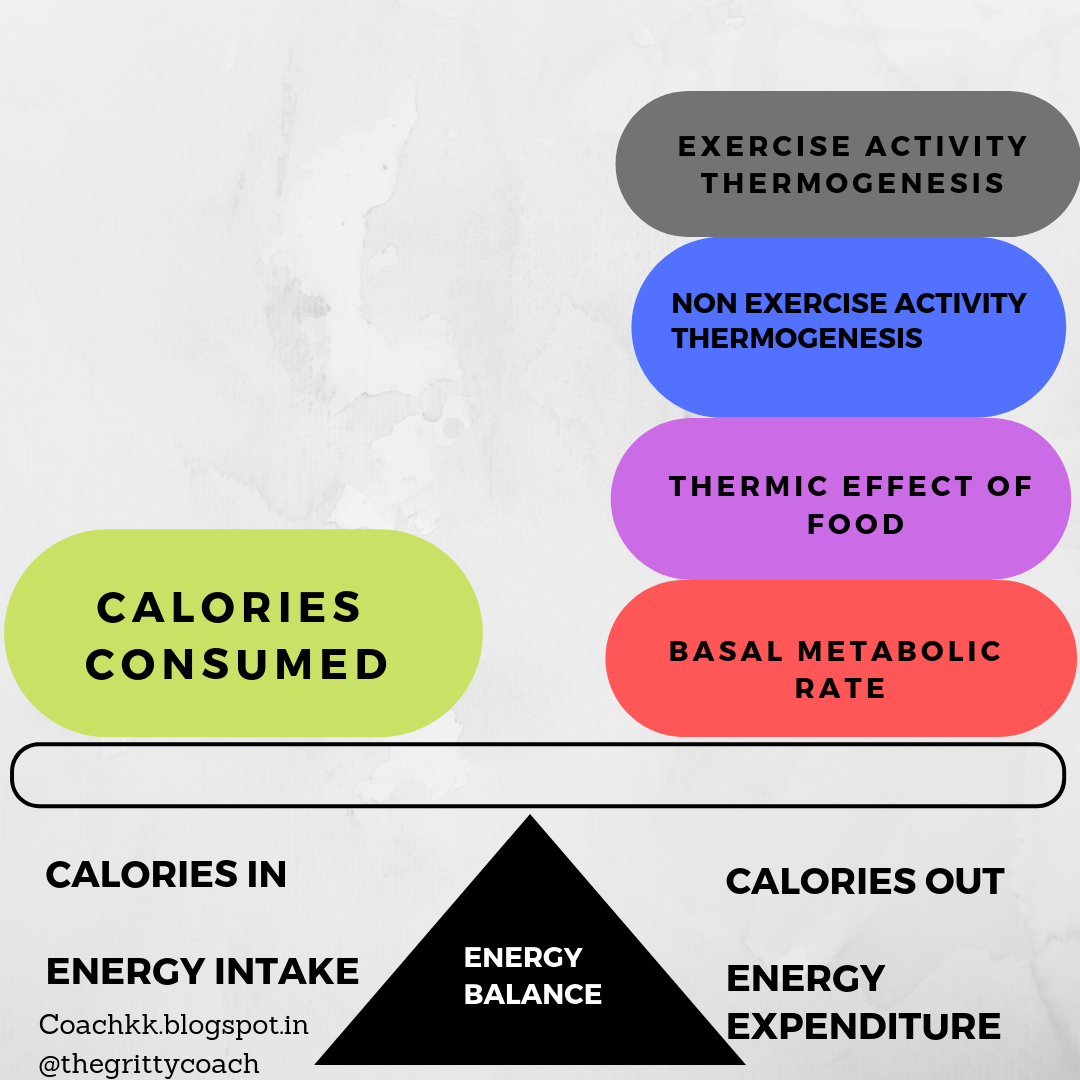 Understanding Metabolism