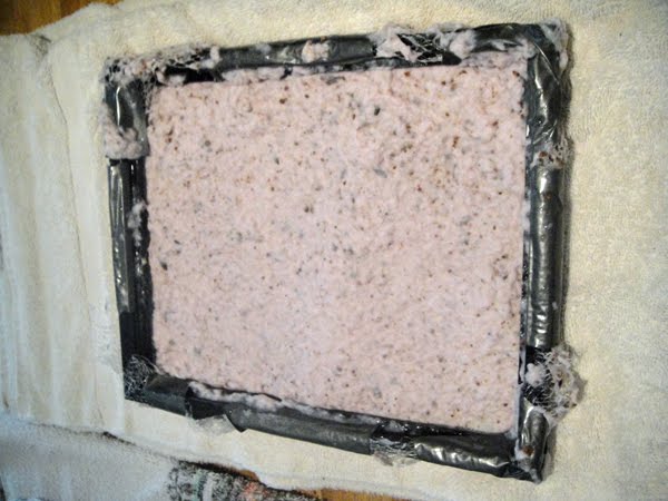 Tropic Home and Family: Project: Make seed paper for a plantable ...