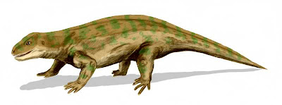 Devonian life and evolution: Fishapod