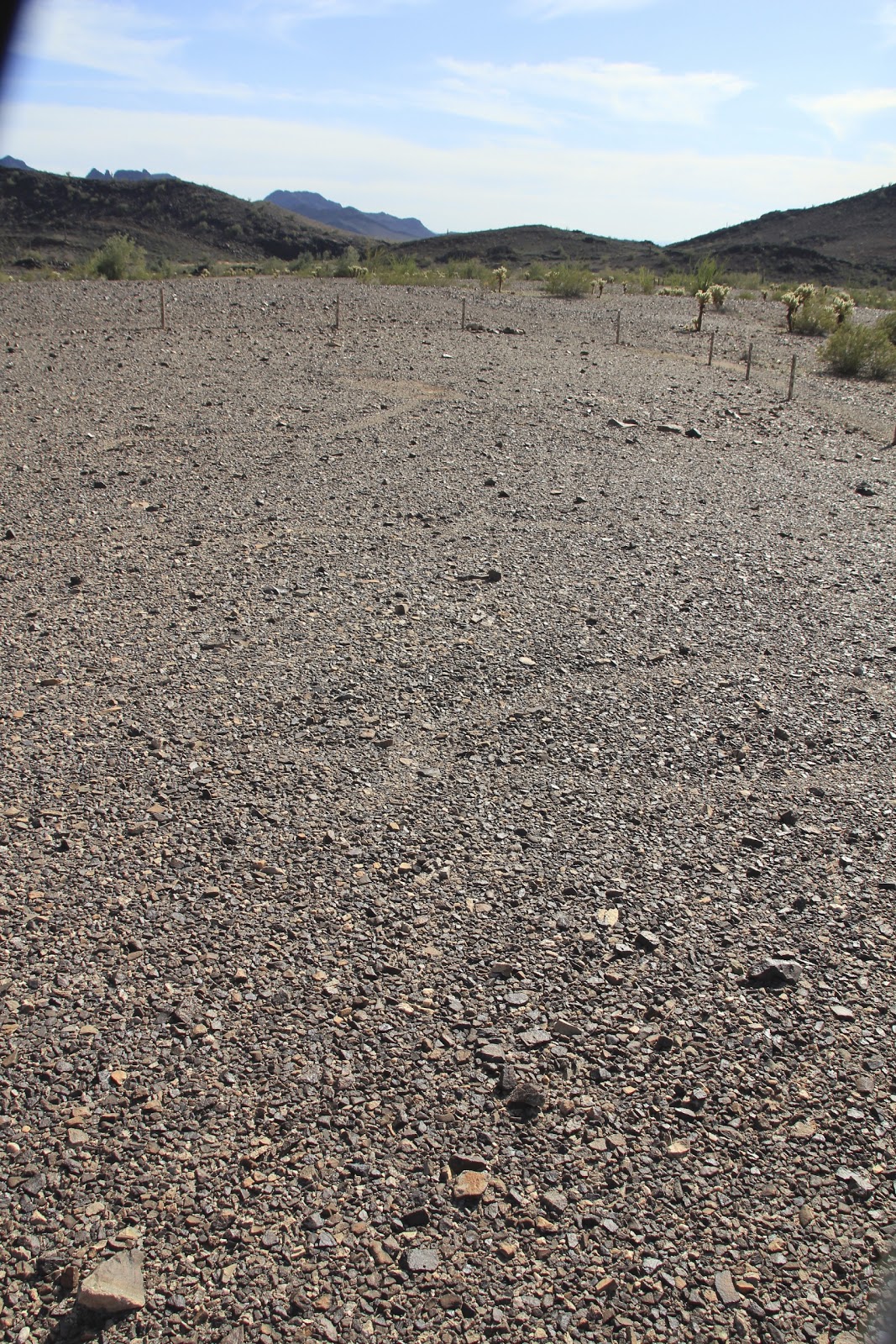 Travels with Twinkles: Quartzsite week 2