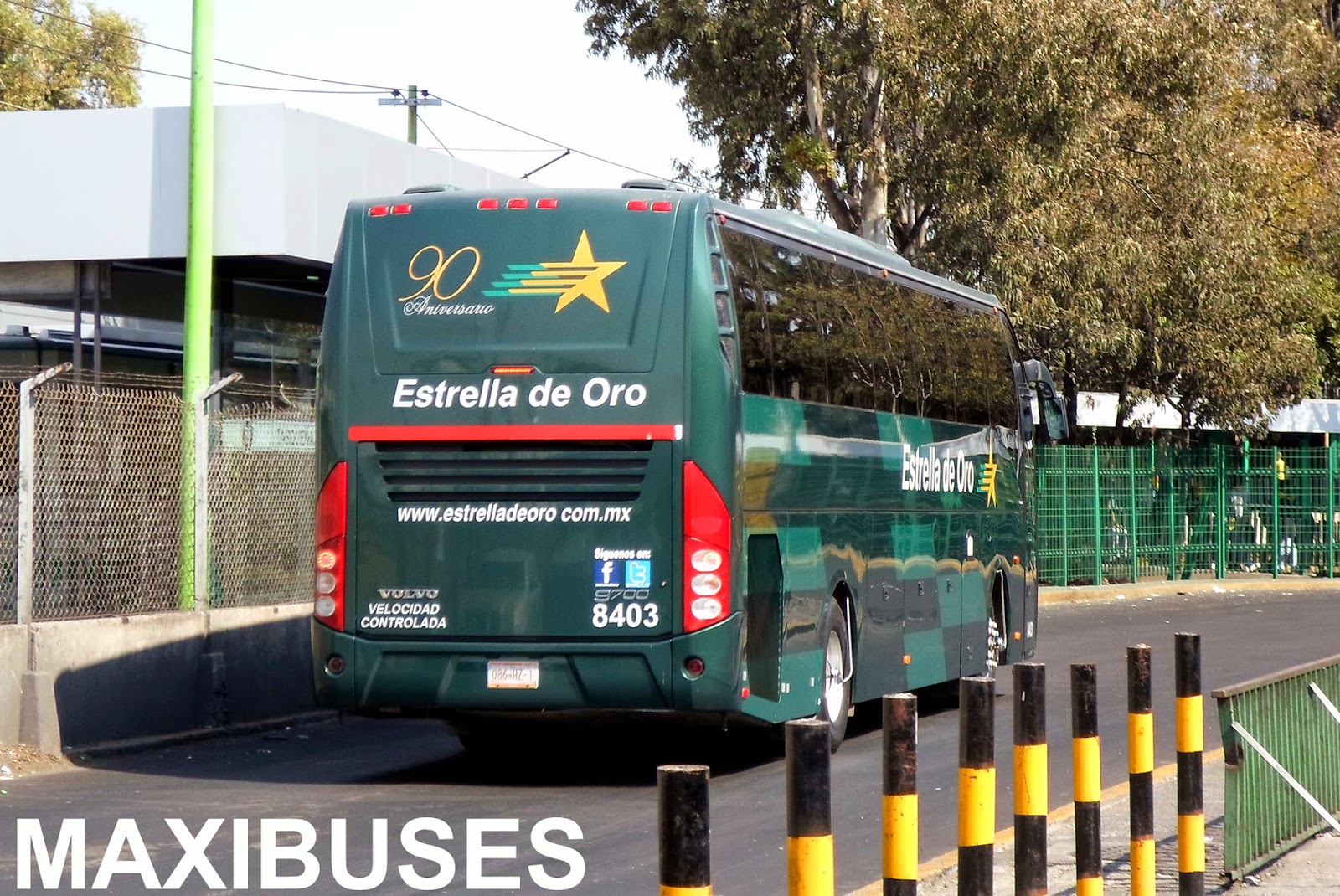 MAXIBUSES: ESTRELLA DE ORO PLUSS