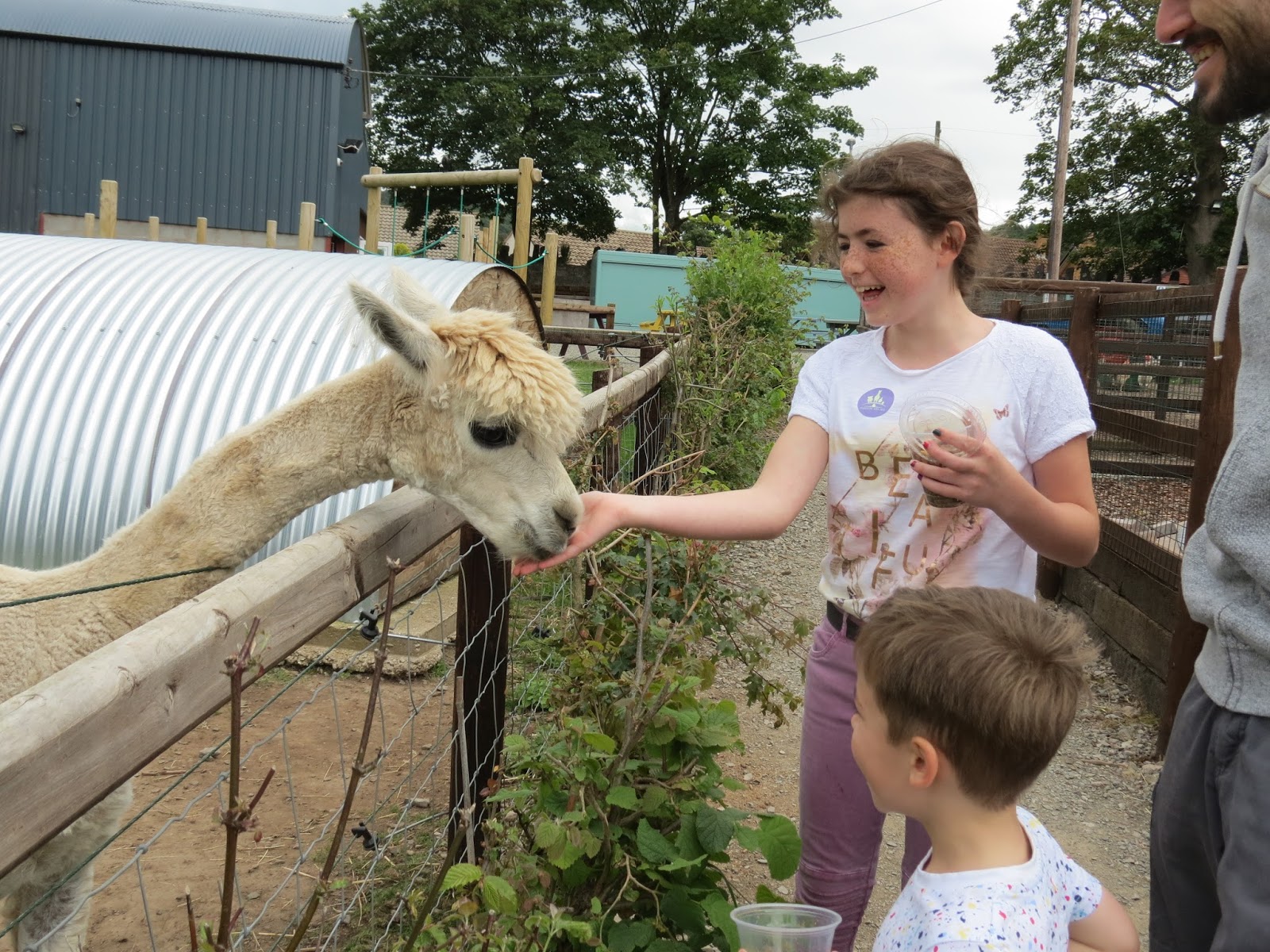 Camping Adventures: A Family Trip to Manorafon Farm