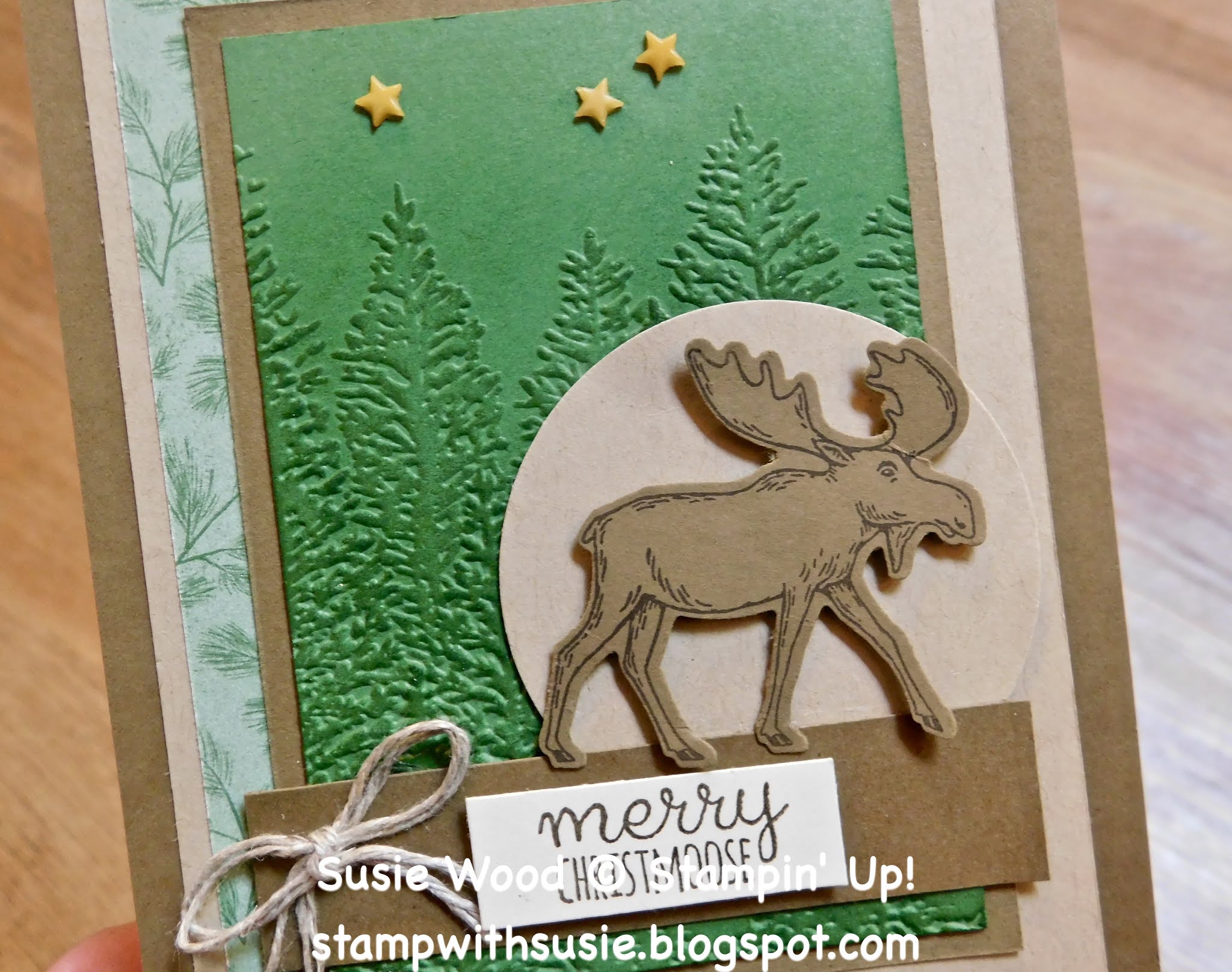 Stamp with Susie: Stampin' Up! Evergreen Forest 3D Embossing Folder ...