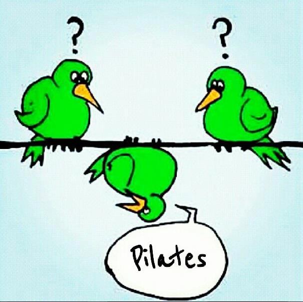 TRABALHANDO COM PILATES: Pilates com humor n26