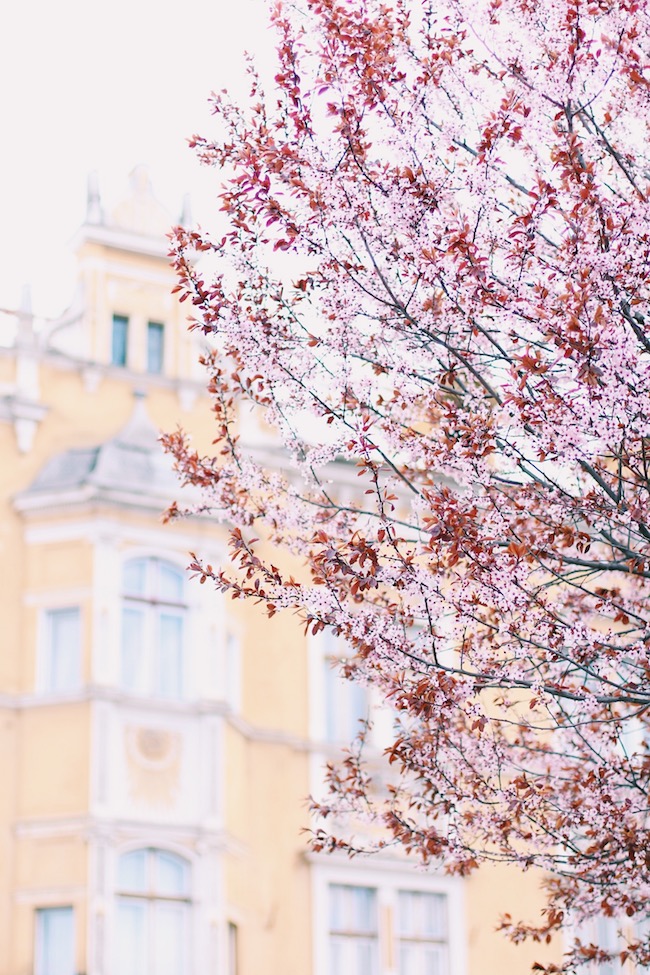 Provocare de primavara: geanta roz din catifea | Sandra Bendre