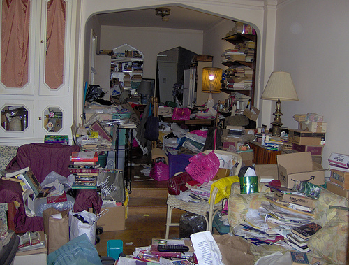 Bruce's Journal: Clearing Clutter in the Apartment