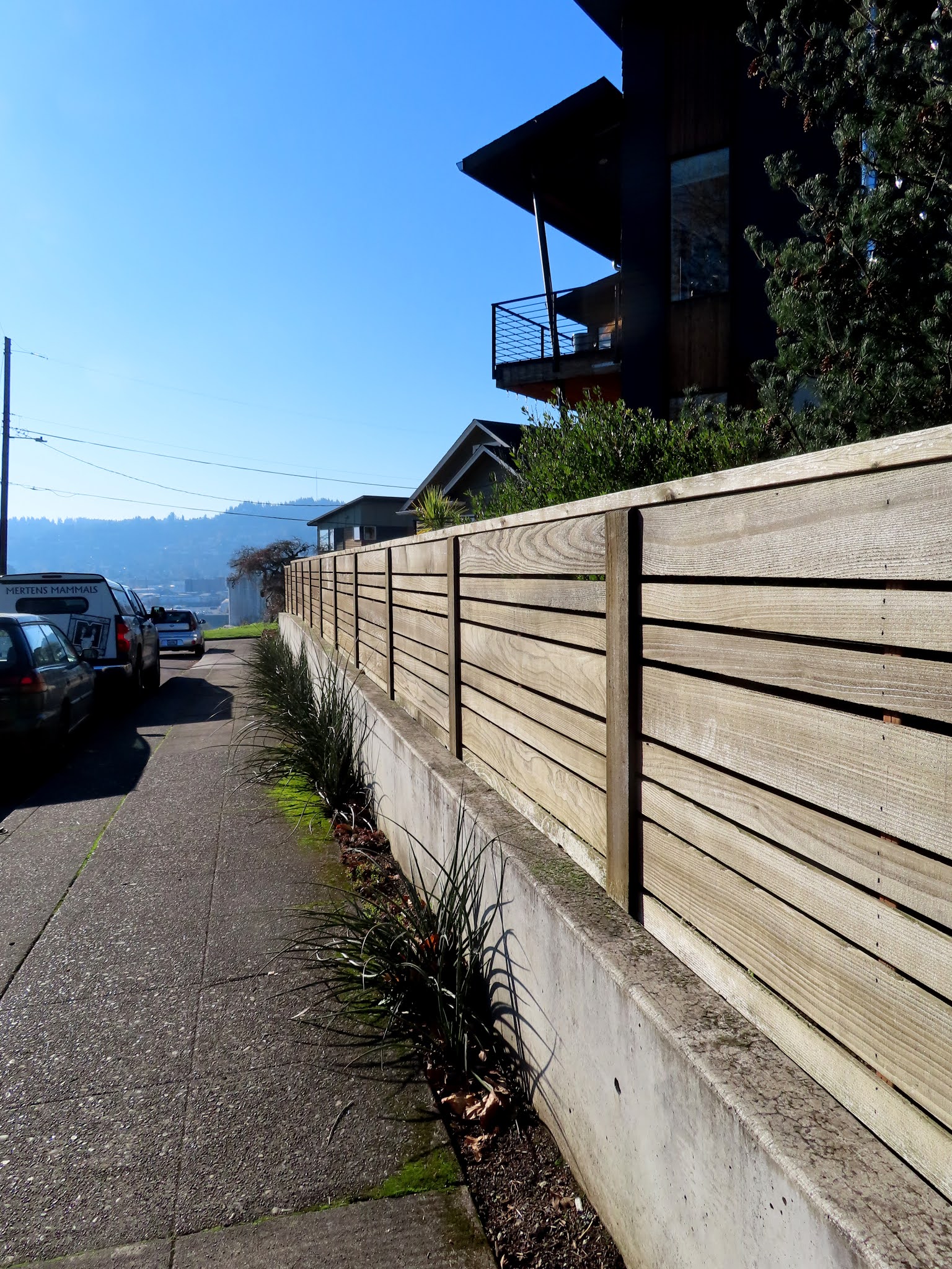danger garden: A garden twofer (both with Agave ovatifolia sightings)