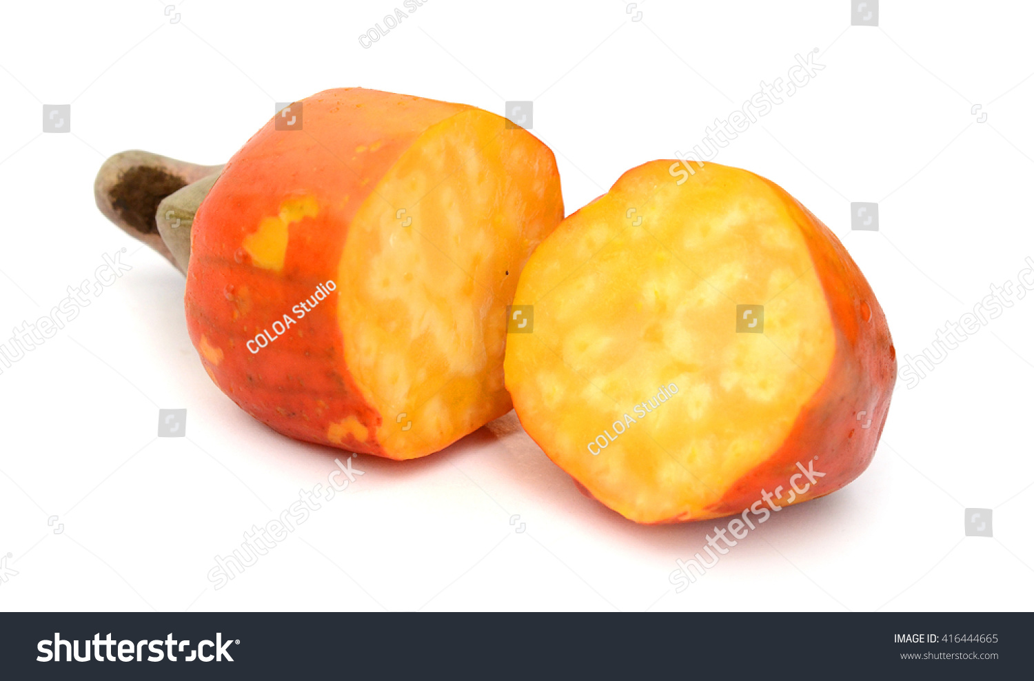 LE NUMERIQUE UNE POSSIBILITE DANS LA FILIERE ANACARDE: L'ANACARDE UN ...