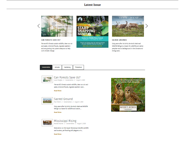 Top 10 Environment Magazines to Keep up with - Geografia Pukapuka