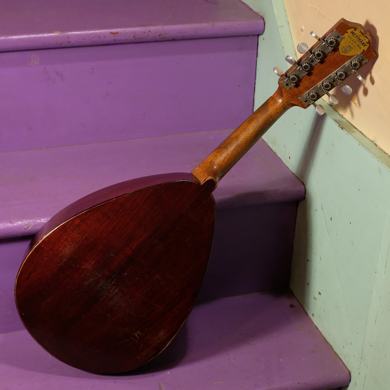 1917 Weymann Style 15 Mandolute Mandolin