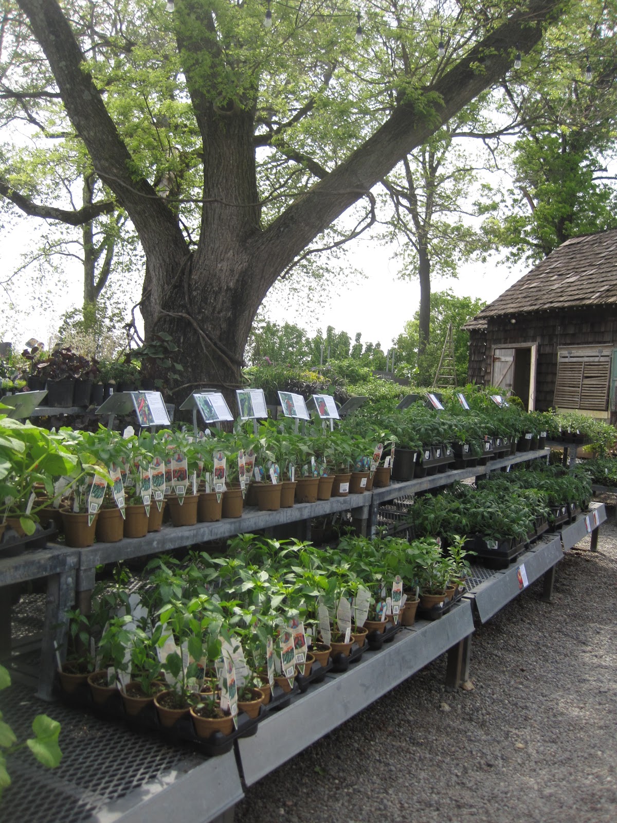 Flair for Design: Terrain at Styer's