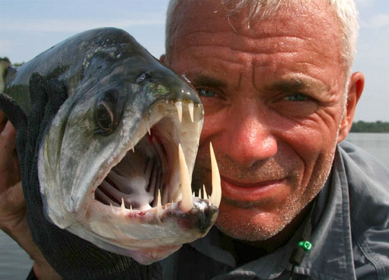 JORNAL R 7ª: Monstros do Rio com Jeremy Wade.