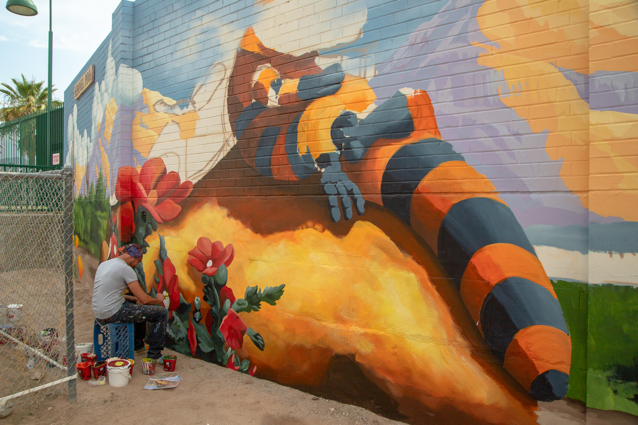 The Tucson Murals Project: Joe Pagac paints his old neighborhood ...