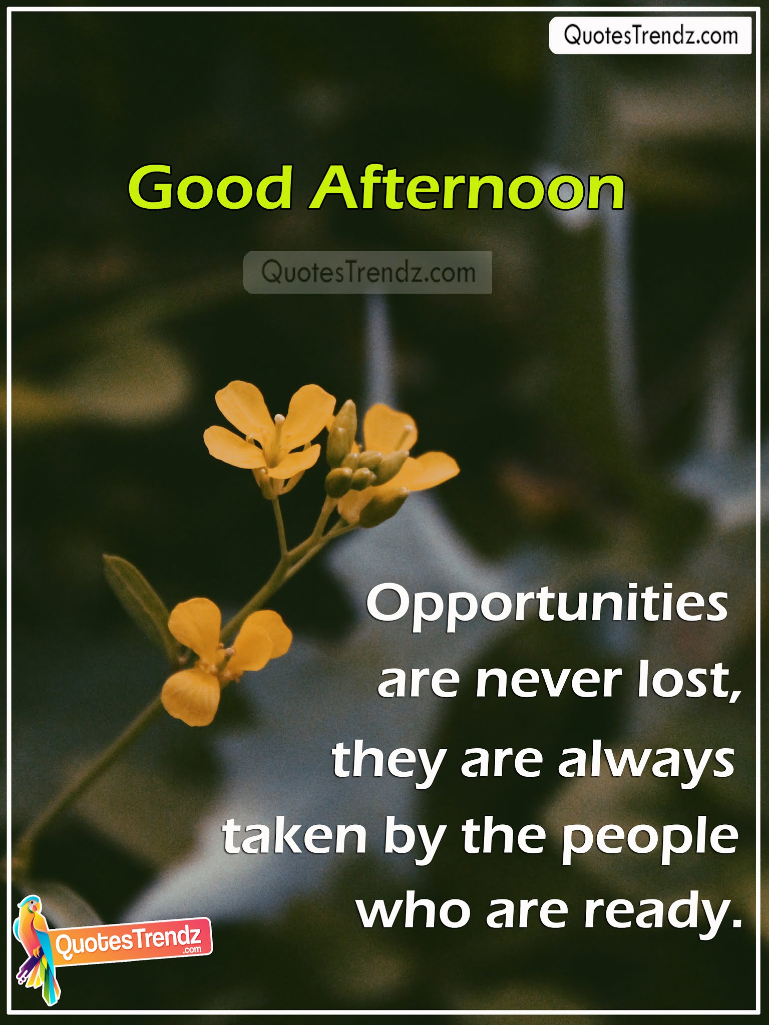 Good Afternoon Inspirational Quotes, Photos and Images