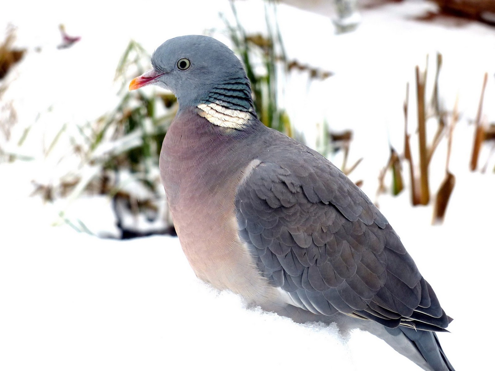 Inutile pour les uns indispensable pour les autres ! !: L'histoire de ...