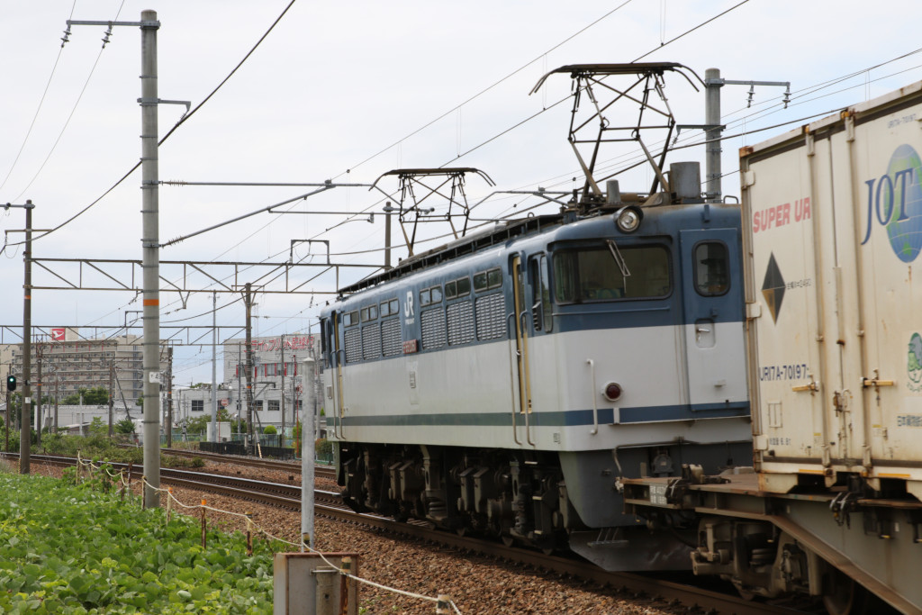 線路際の小さな幸せ: 5087レ EF65 2060 いつもの貨物色 サクラコンテナ