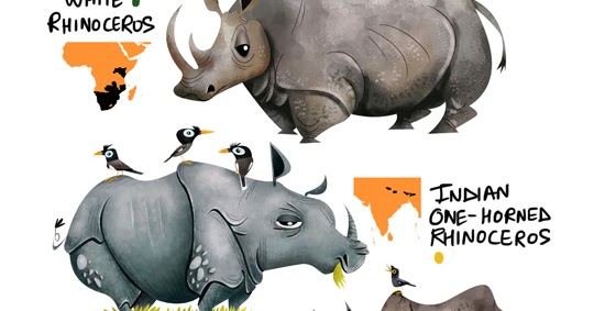 Green Humour: Rhinos of the World