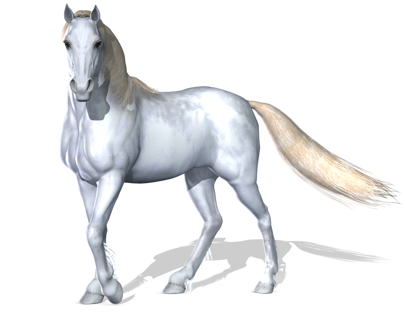 ® Colección de Gifs ®: IMÁGENES DE CABALLOS