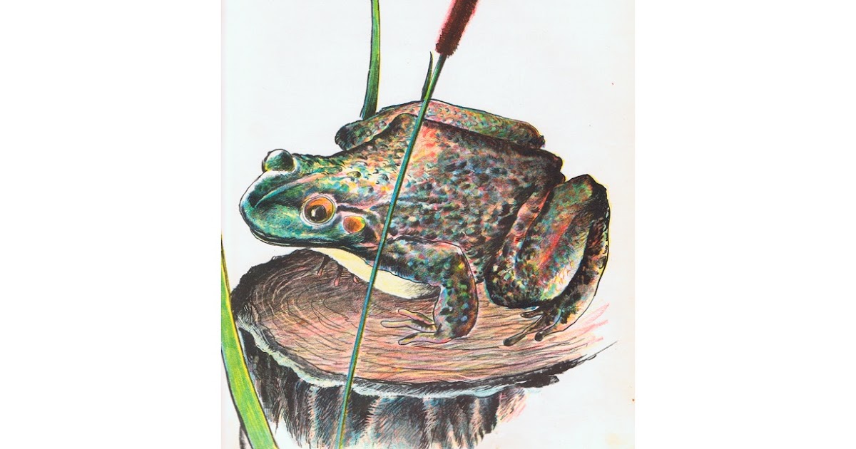 365 Cinderellas: Cinderella #349 The Maiden, the Frog, and the Chief's Son