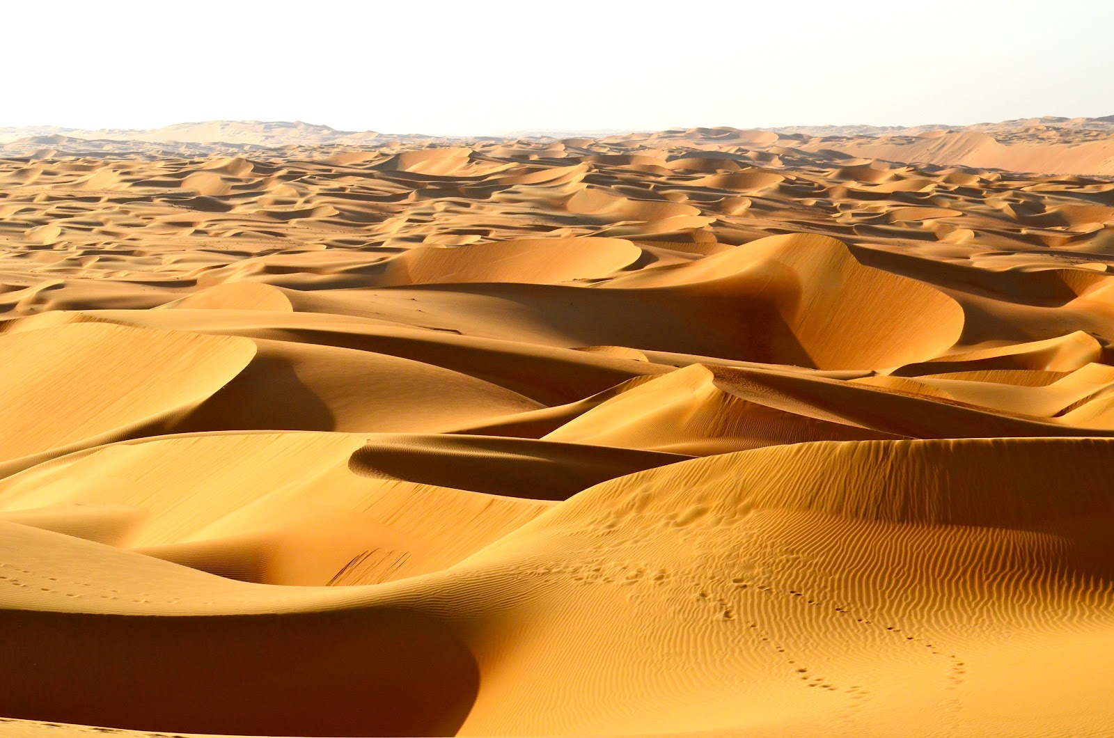Redefining the Face Of Beauty : WORLD'S LARGEST DESERTS!