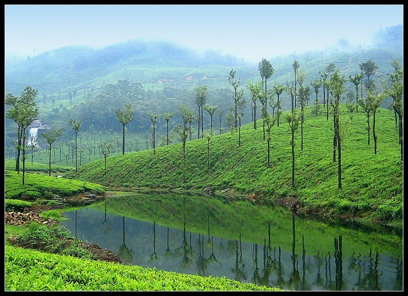 KING SOLOMON TOURS AND TRAVELS: VALPARAI PACKAGE TOUR