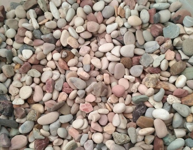 Harga Jual Pebble Stone Batu Sikat - TUKANG TAMAN SURABAYA