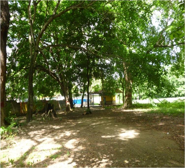 Patrimonio Historico-Cultural de la Parroquia Sarare: Patrimonio ...