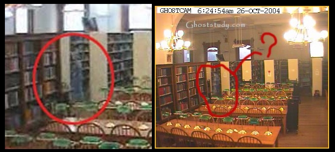 Paranormal Bug: The Grey Lady / Lady in Grey