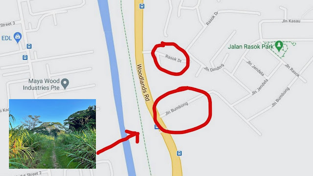 Cheekiemonkies: Singapore Parenting & Lifestyle Blog: [Easy & Gorgeous ...