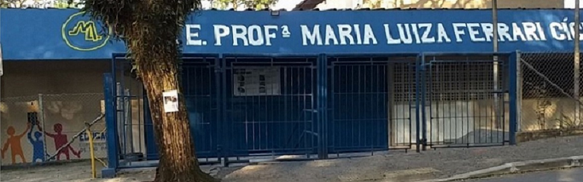 E.E.MARIA LUIZA FERRARI CÍCERO: ELETIVAS