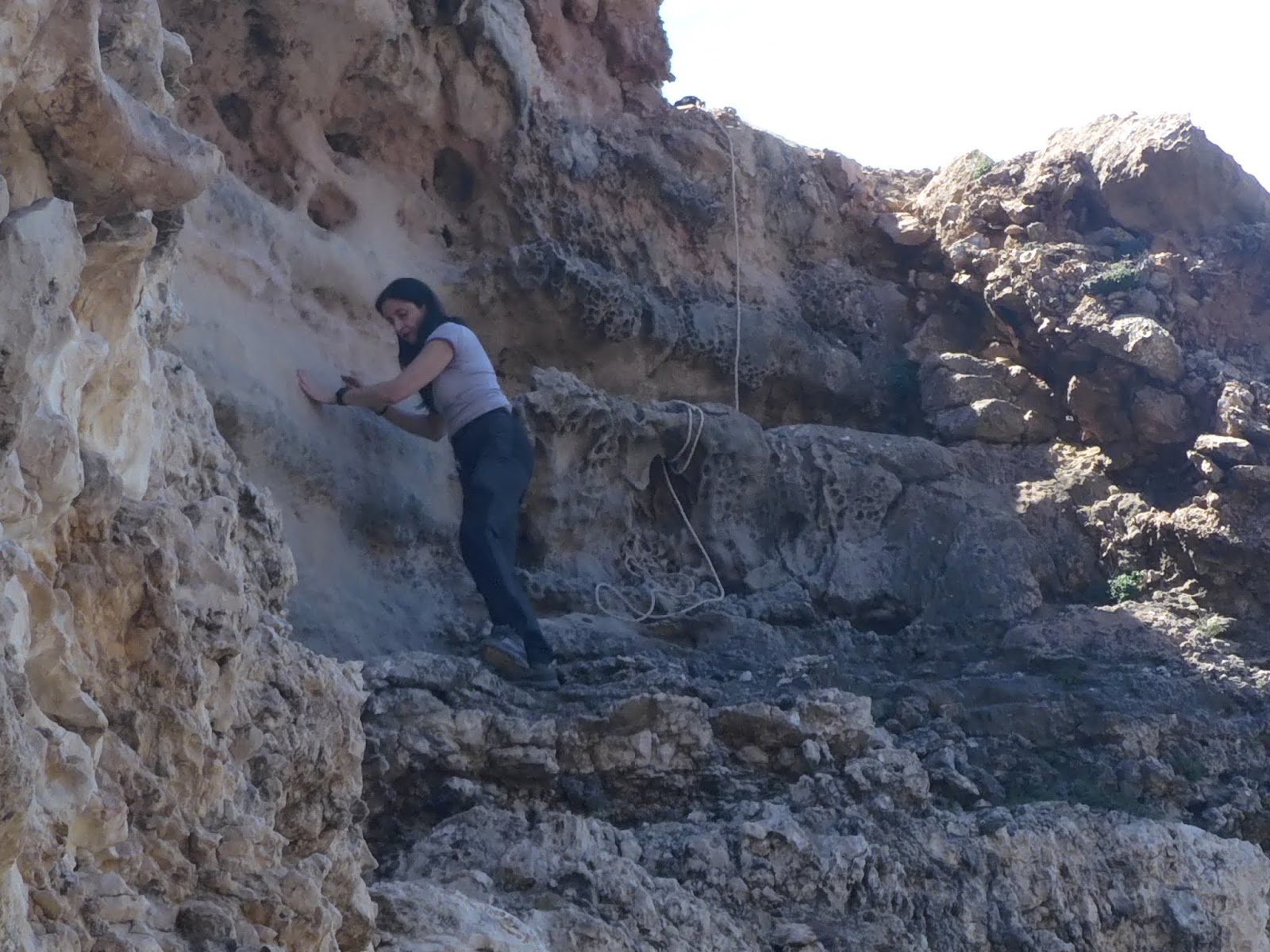 G.A.M.E.: COVA DES CATIUS o CAPTIUS