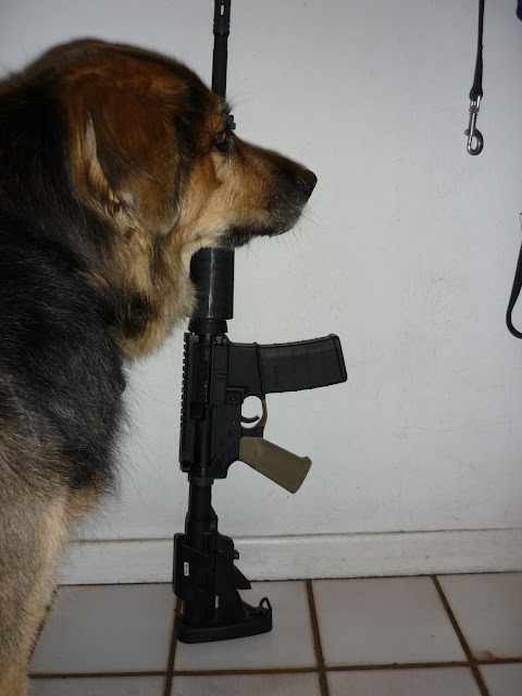 Lurking Rhythmically: September 2015 - Ponies. Pistols. Prepping.