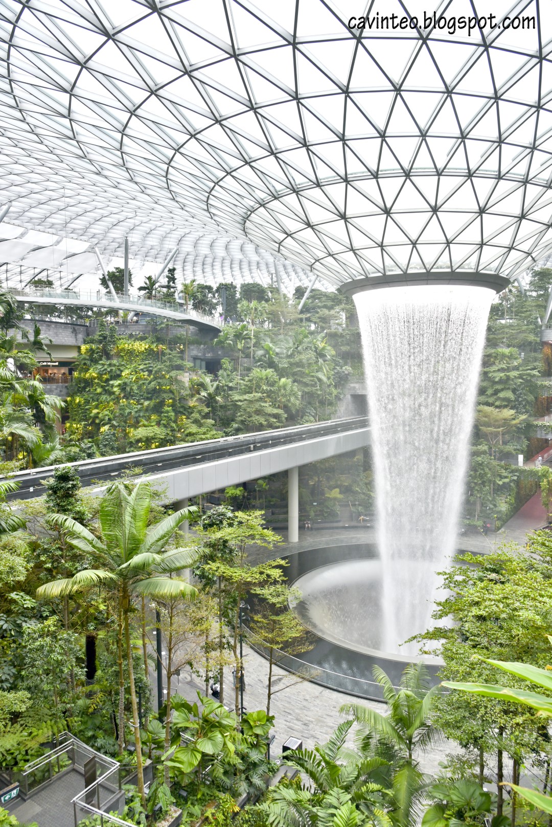 Entree Kibbles: Canopy Park (Topiary Walk, Discovery Slides, Foggy ...