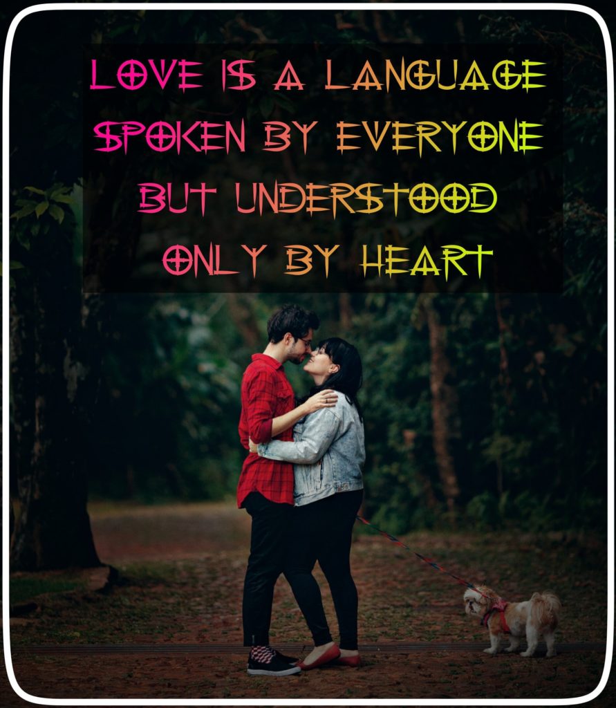 10+ Best English Love Status (2020)