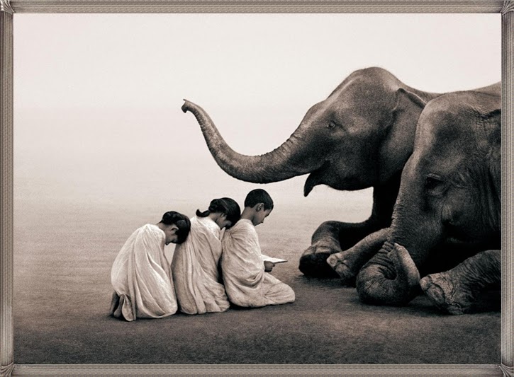 Ostáriz Art Gallery: Gregory Colbert