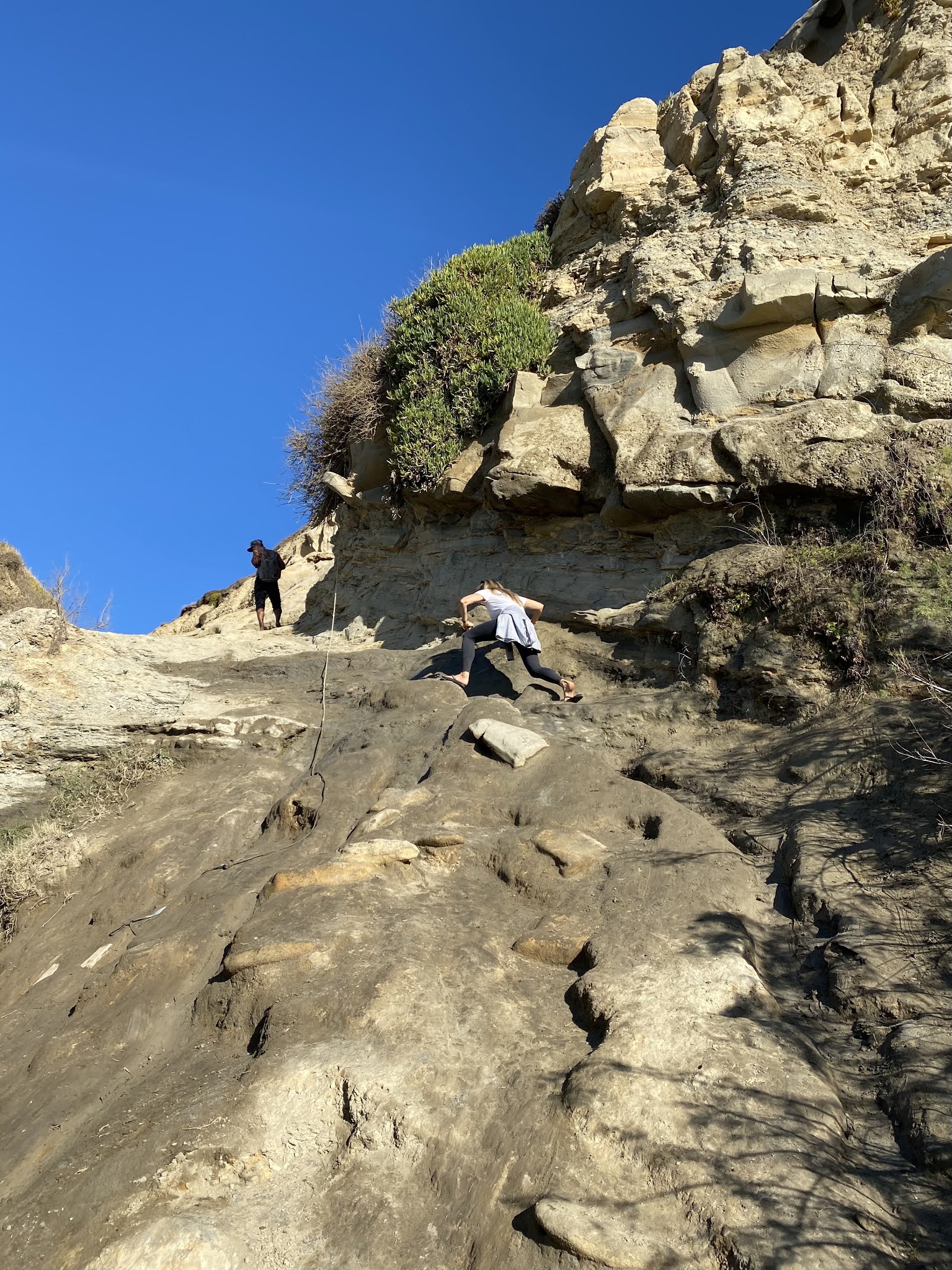 Sensory Overload: Saigon Trail Hike on New Year's Day (Black's Beach)