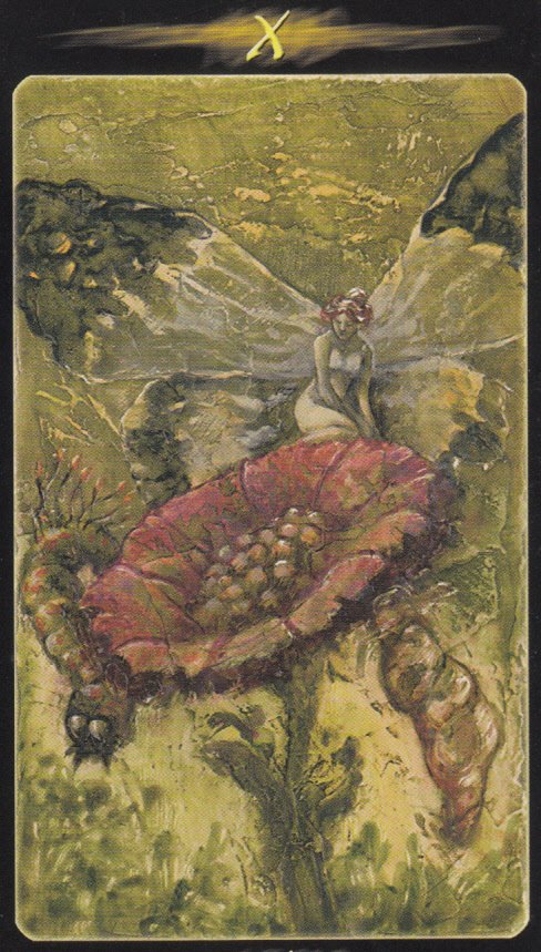 By the Sycamore Tree: Seasons of Change