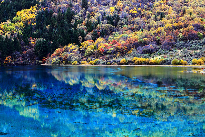 Five Flower Lake – Jiuzhaigou